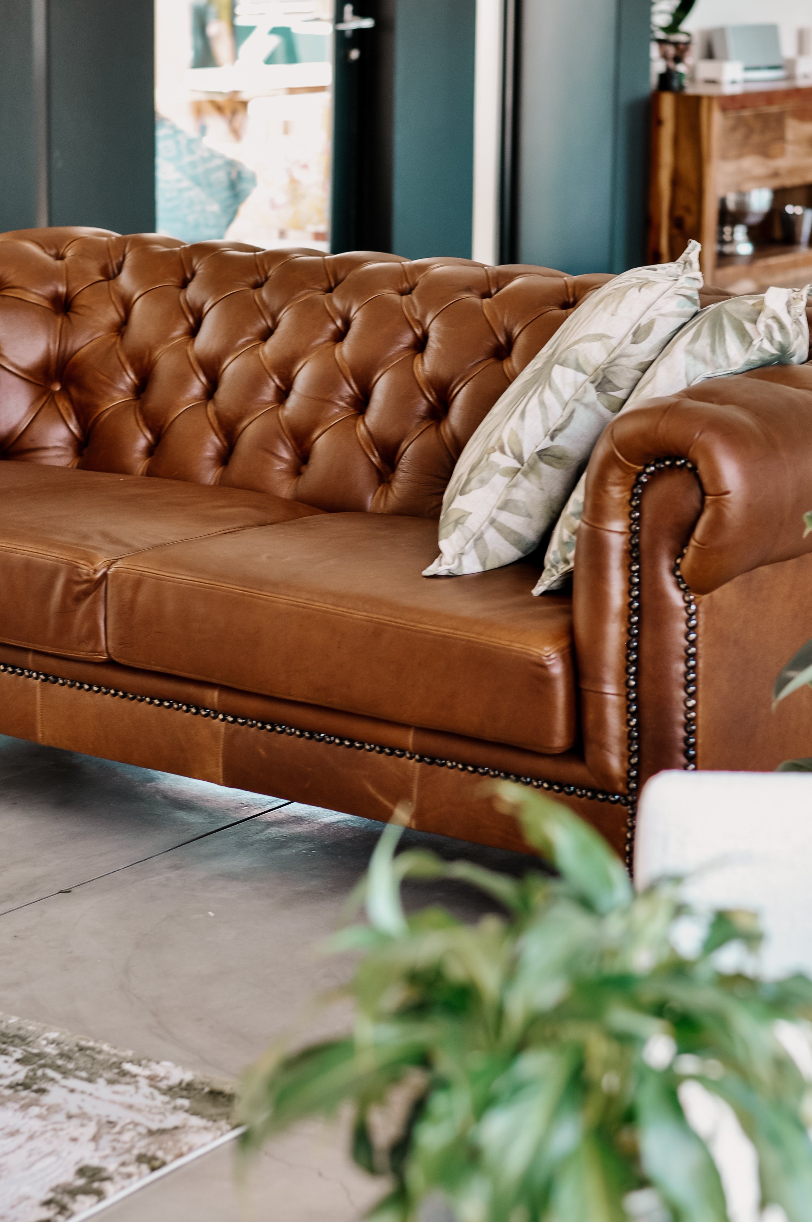 Chesterfield – Ouhout