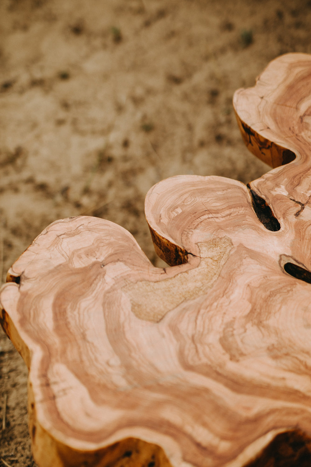 Collections – Ouhout