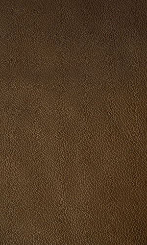 Deep Button Leather Wingback Chair – Ouhout